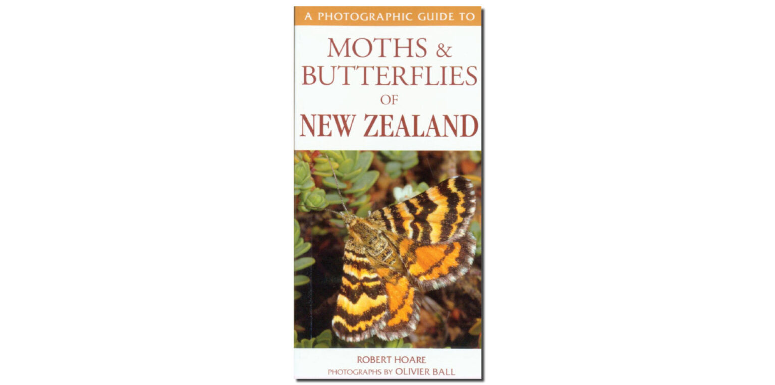 Book: A Photographic Guide to Moths & Butterflies of New Zealand ...