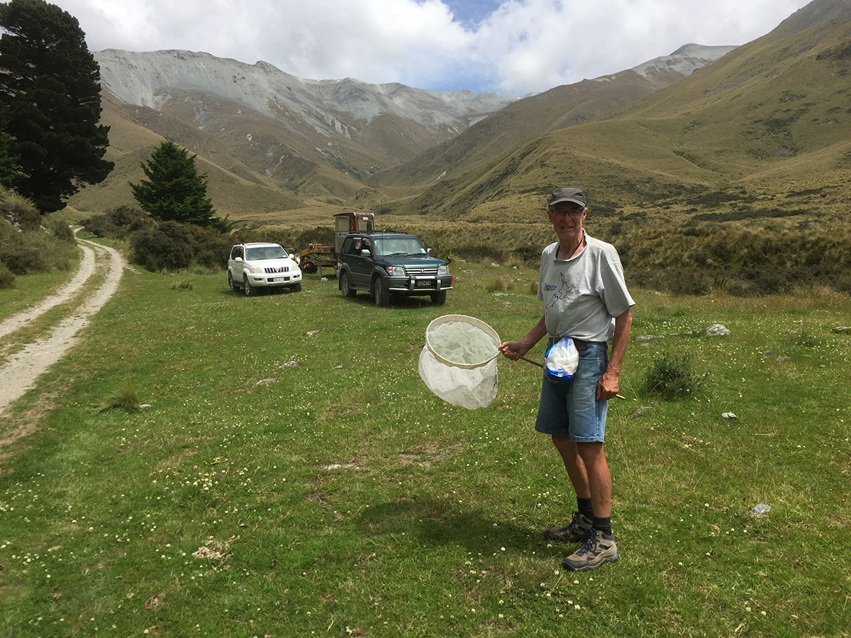 Lepidopterist at Large - Moths and Butterflies of New Zealand Trust